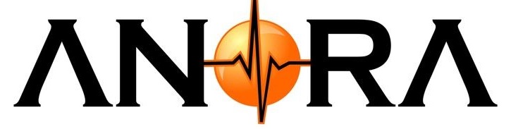 Placement offers from Capgemini, Anora Labs | News & Events