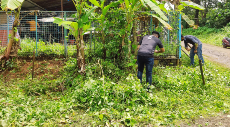 Vidya Skill Center and NSS co-ordinate Integrated Farming works | News ...